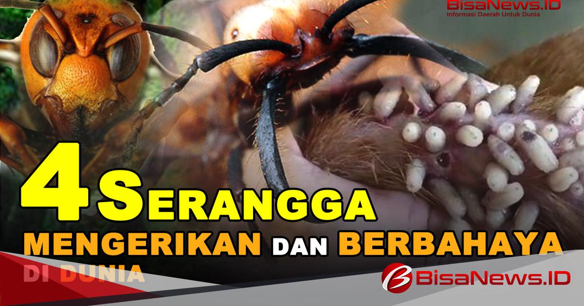 4 Serangga Mengerikan Dan Berbahaya Di Dunia